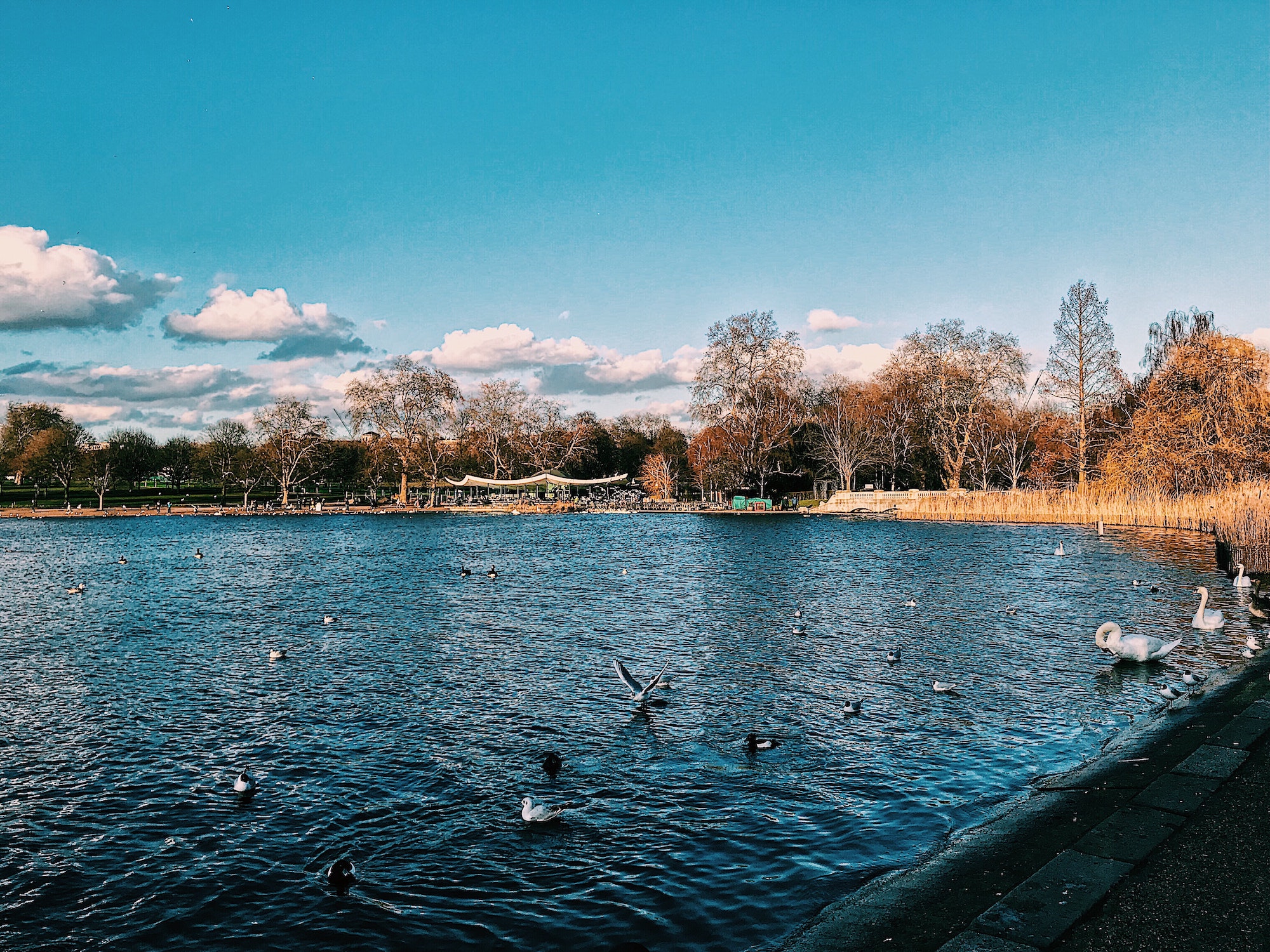 Exploring the Hidden Gems of Surbiton - Proof from Seething Wells